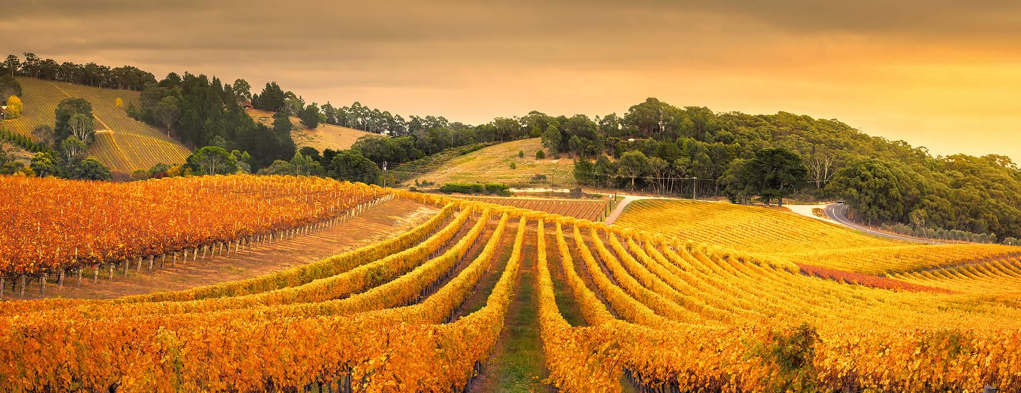 Contact - Domaine Louis Chomel