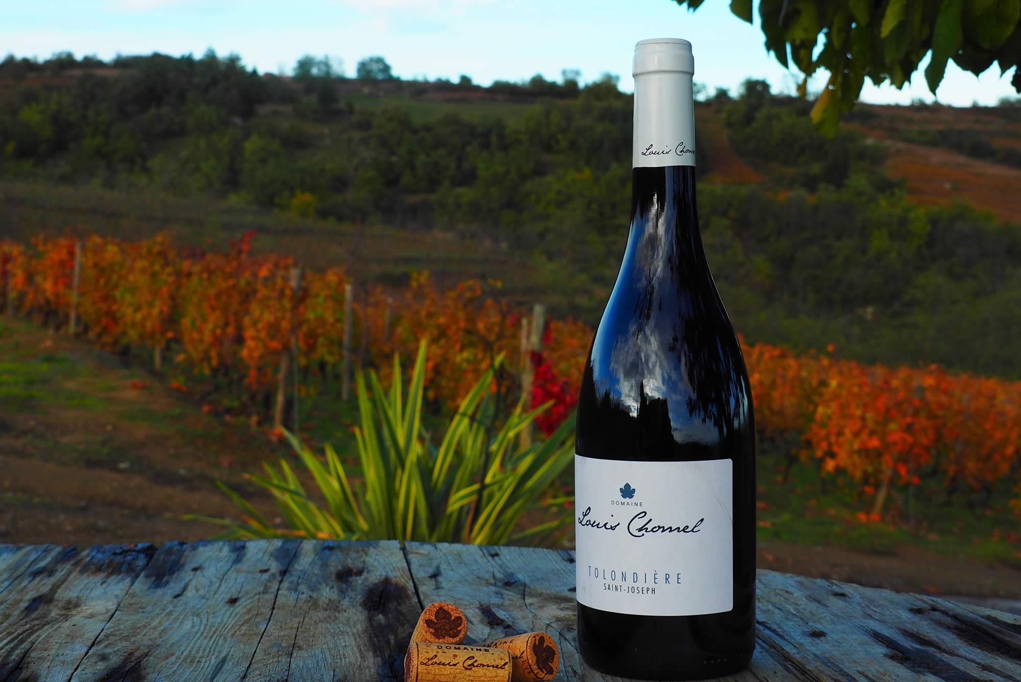 Les vins - Domaine Louis Chomel